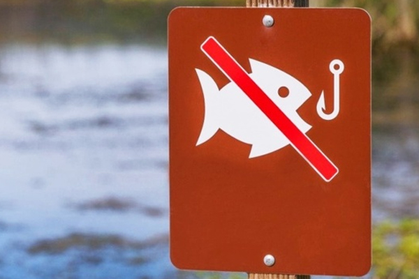 С ПОНЕДЕЛЬНИКА В МОЛДОВЕ ВВОДИТСЯ ЗАПРЕТ НА РЫБНУЮ ЛОВЛЮ - Infotag